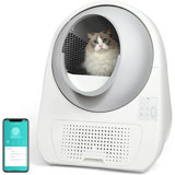 Litter Boxes & Enclosures Furniture